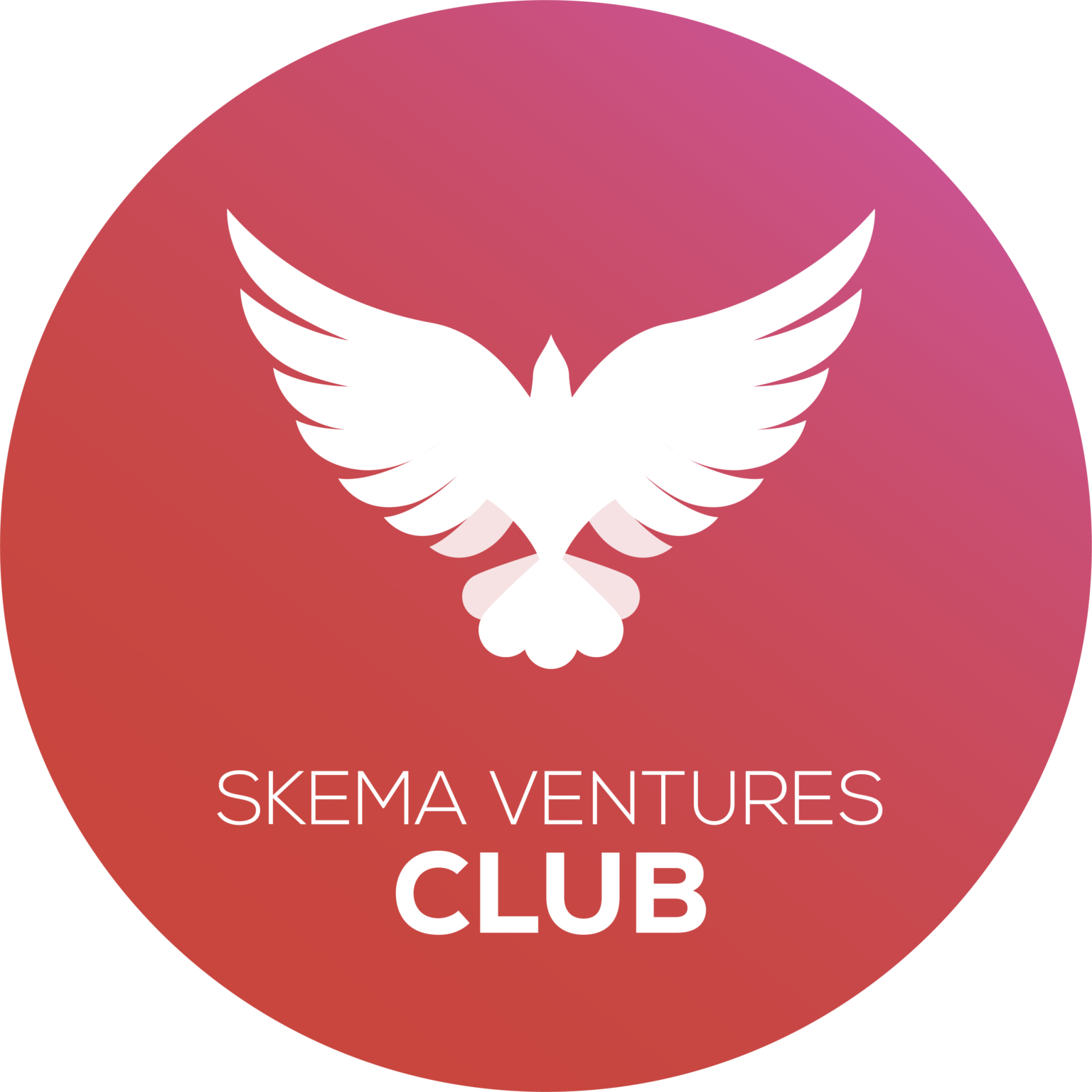 SKEMA VENTURES CLUB | SKEMA BUSINESS SCHOOL